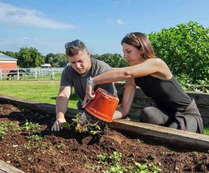Lessons from the Farm Stand - Syracuse University